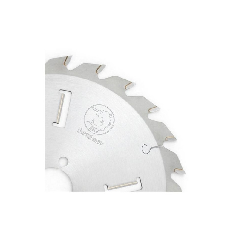 Lame de scie circulaire carbure avec racleurs diamètre 350 mm, Alesage ...